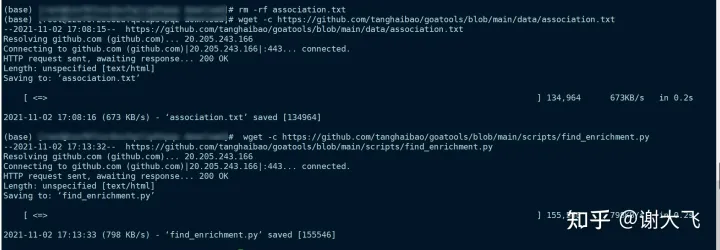 FastGithub下载及使用-CSDN博客