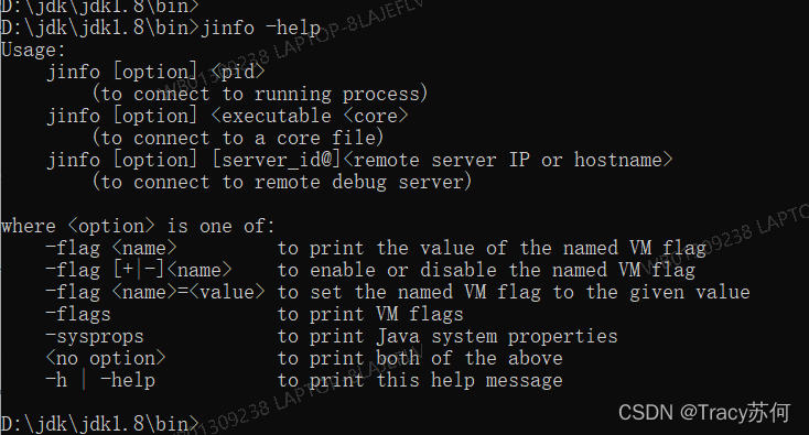 JVM常见命令之jinfo_jfino指令-CSDN博客