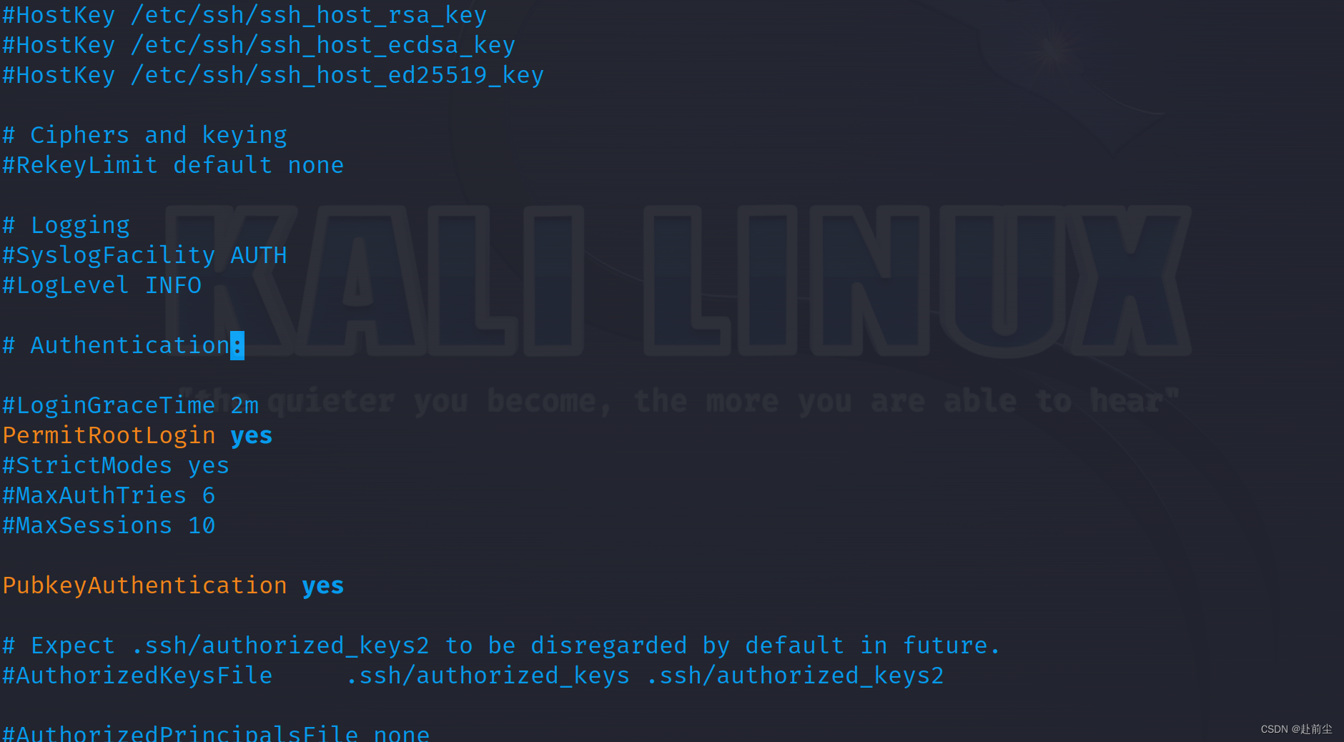 kali配置sshd服务并使用xshell连接_渗透测试-CSDN专栏