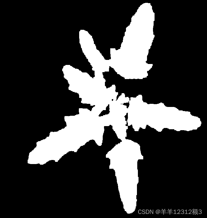 骨架提取3-细化骨架_植物根茎骨架提取python-CSDN博客