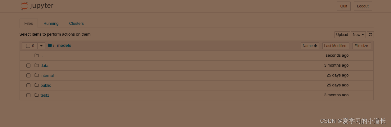 黑芝麻A1000 jupyter 中 bsnntool 转换yolov5模型并部署到bst A1000平台（八）_bsnn tool-CSDN博客