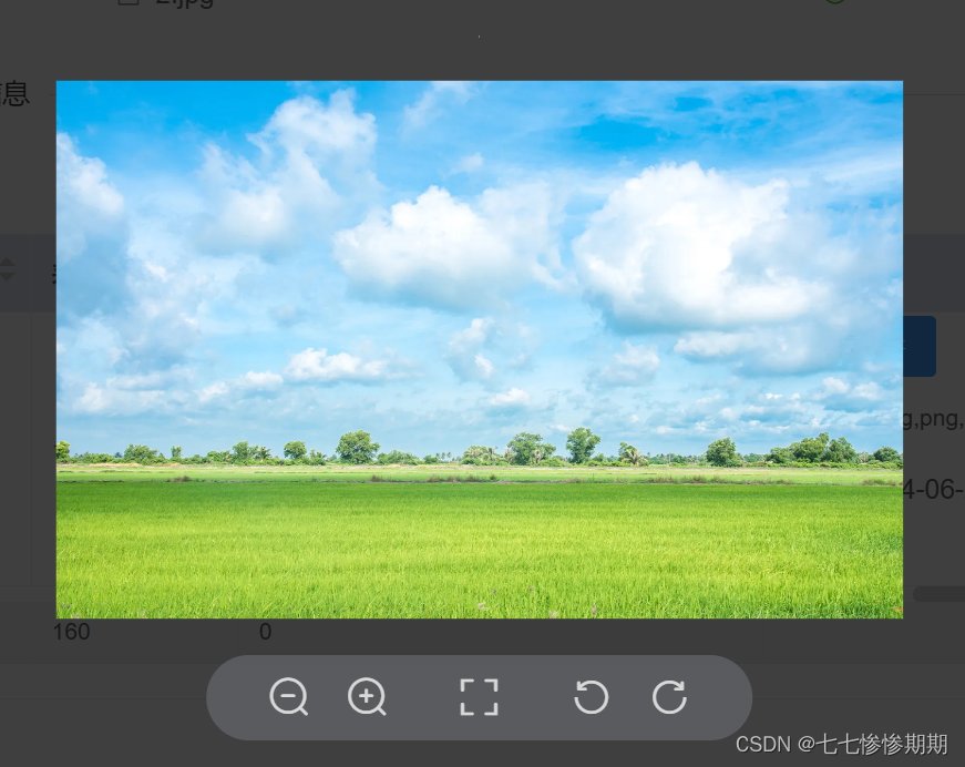 【一个像素点】解决element ui el-image-viewer 和 el-table一起使用时出现显示叠加混乱_el-image-viewer el-table-CSDN博客
