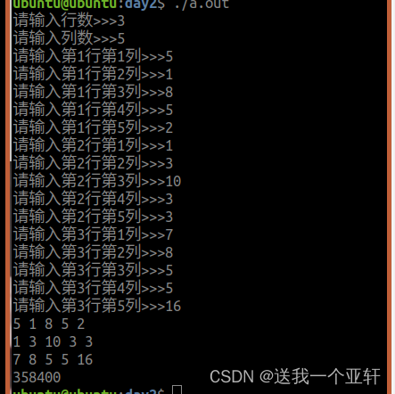 C高级DAY2-CSDN博客