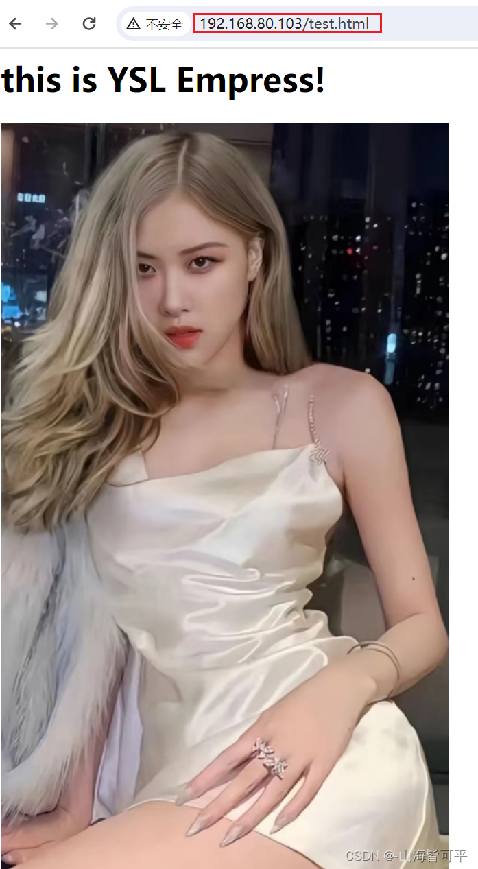 【Web缓存】Nginx和CDN应用-CSDN博客