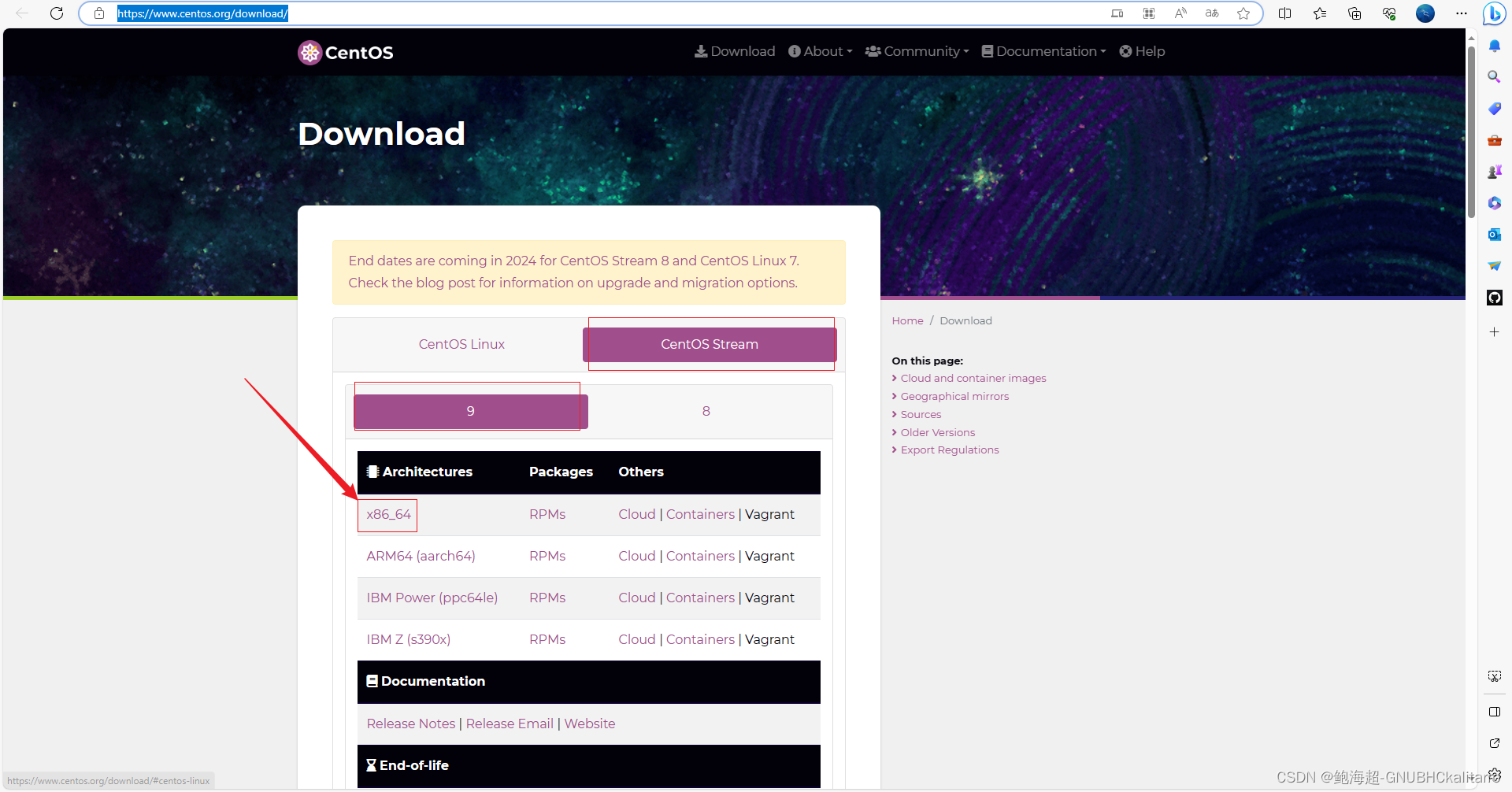 Linux：Centos9 《下载-安装》_centos9下载-CSDN博客