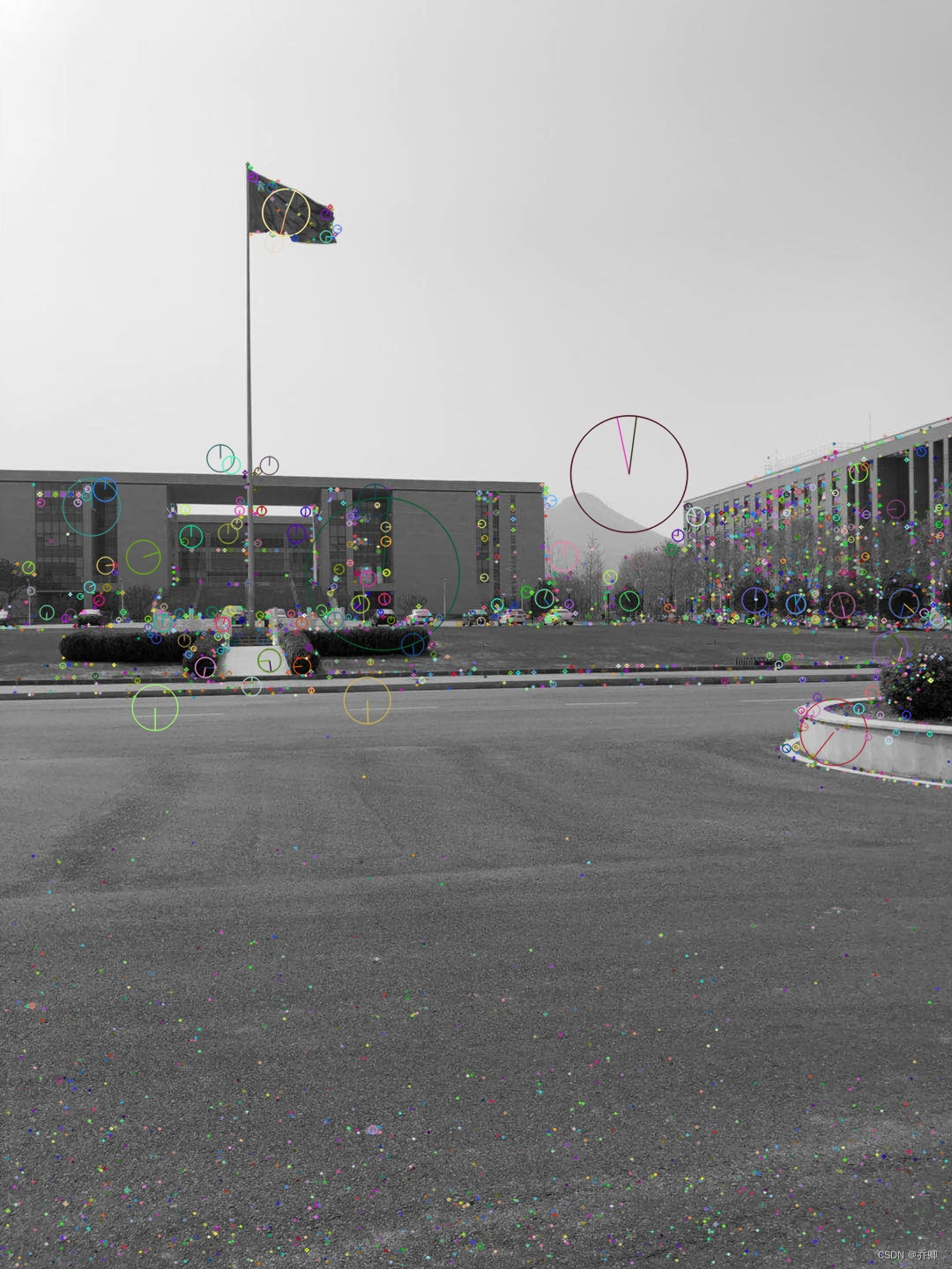 Python OpenCV SIFT特征提取的原理与代码实现_sift提取关键点python-CSDN博客