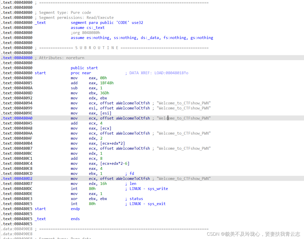 PWN 基础篇 Write Up_pwn.txt-CSDN博客