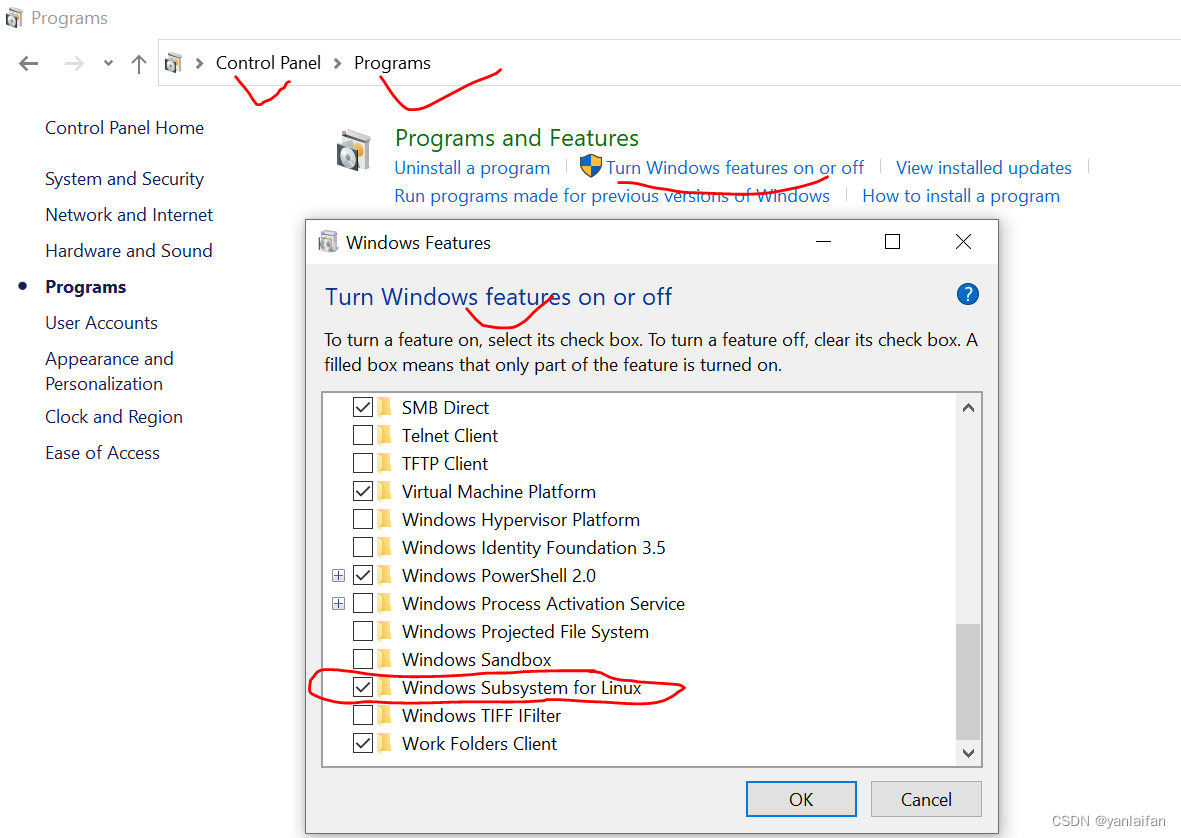 Windows10设置开发者模式并安装WSL_windows开发者模式本地安装-CSDN博客