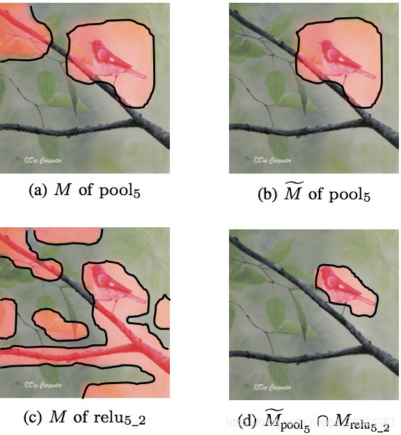 细粒度检索SCDA 详解_selective convolutional descriptor aggregation for-CSDN博客