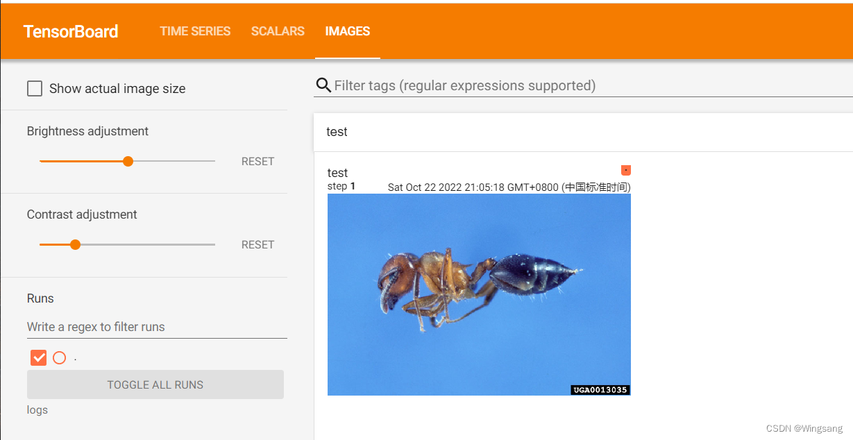 Pytorch学习（2）TensorBoard使用：writer.add_image()函数_tensorboard使用writer.image-CSDN博客