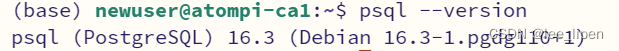 Debian安装PostgreSQL16及其plpython3u扩展-CSDN博客