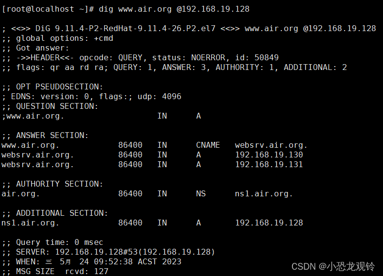 LINUX DNS搭建_dns 服务器 127.0.0.1:53-CSDN博客