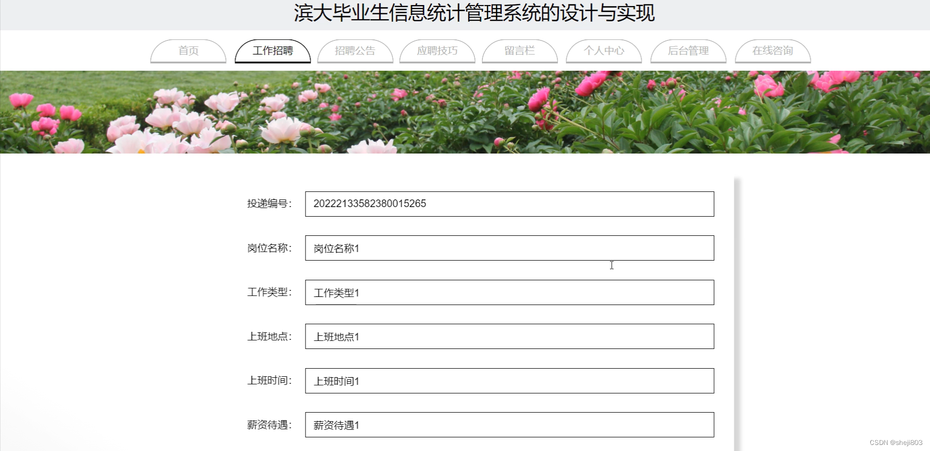 Springboot毕设项目滨大毕业生信息统计管理系统的设计与实现66d5n(javavuemybatismavenmysql)spring统计管理怎么做 Csdn博客