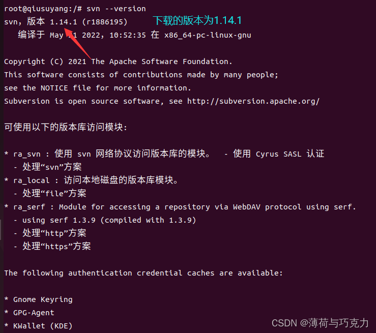 Linux系统下安装JDK与SVN_linux apt-get jdk安装-CSDN博客