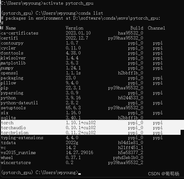 【软件使用】pycharm + win11 + conda中利用pytorch实现CNN_win11+anaconda+pycharm+pytorch-CSDN博客