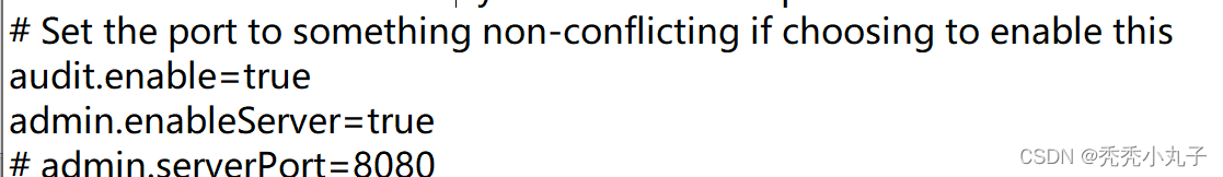 kafka内置zookeeper启动报错:ZooKeeper audit is disabled._kafka audit.enable-CSDN博客