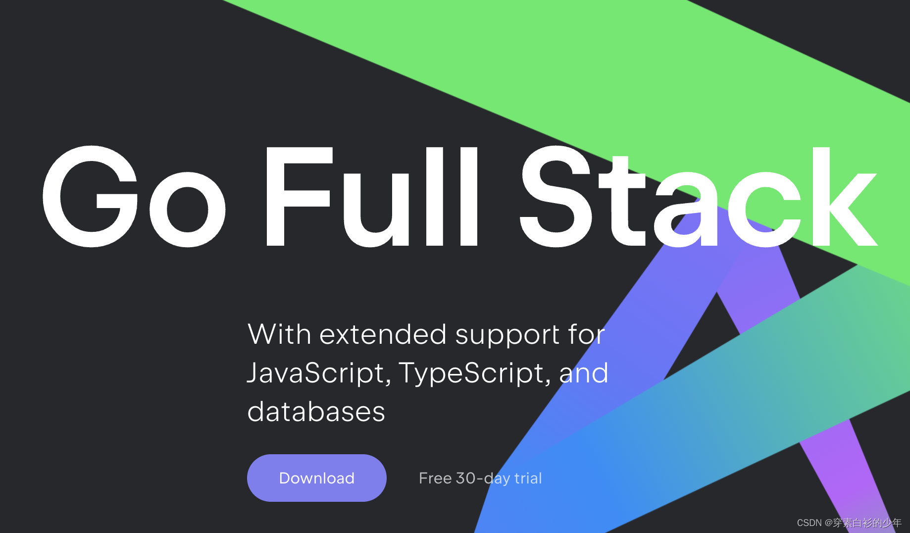 Goland - 个人使用习惯/实践_激活谷
