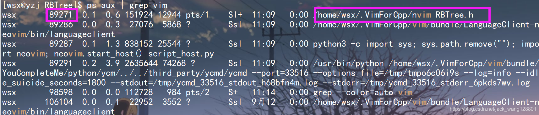 Linux中readonly的解决办法_linux readonly-CSDN博客