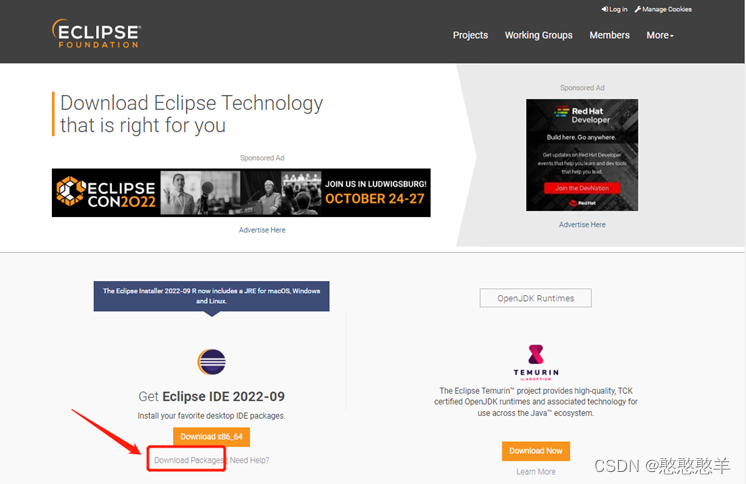 企业级开发-Eclipse IDE for Enterprise Java and Web Developers安装及集成Tomcat 9.0.67-CSDN博客
