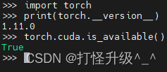 虚拟环境中pytorch及pytorch-lightning老版本安装_pytorch1.11安装pytorch-lightning什么版本-CSDN博客