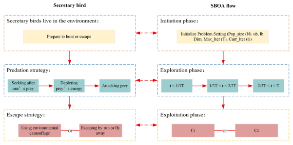 【智能算法】鹭鹰优化算法（SBOA）原理及实现_sboa算法-CSDN博客