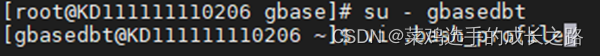 Gbase 8s数据库搭建及远程连接操作指导_gbase sqlhosts-CSDN博客