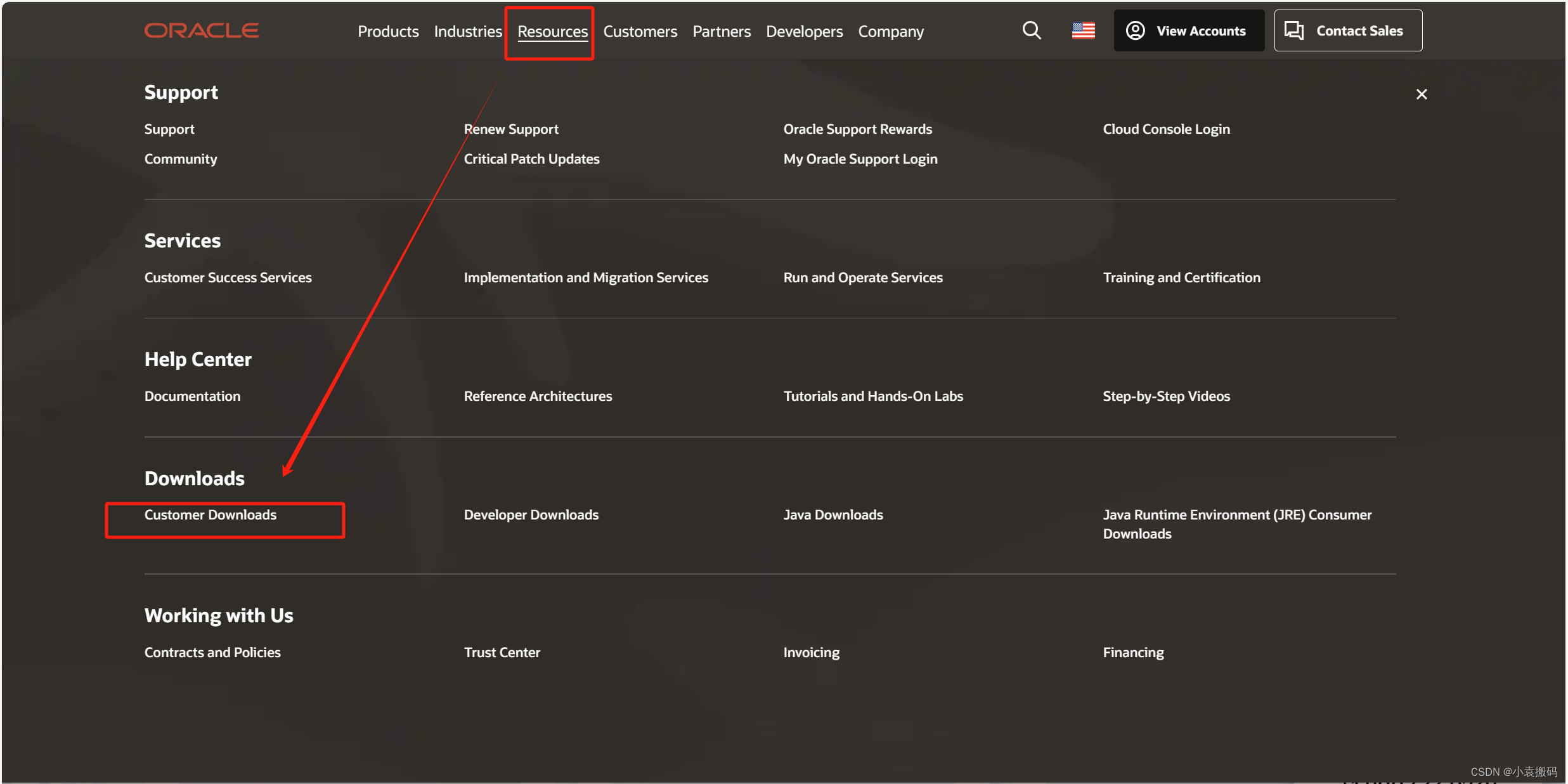 Oracle全系列版本官网下载保姆及教程_oracle官网-CSDN博客