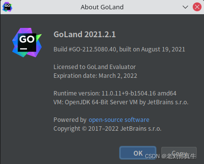 goland 2021.2 配置go( go1.17.6)_goland设置go版本-CSDN博客