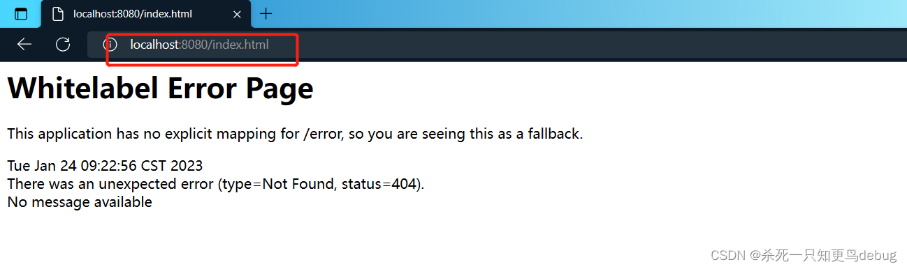 springboot静态资源目录访问，及自定义静态资源路径，index页面的访问_如何访问springboot访问自定义路径文件-CSDN博客
