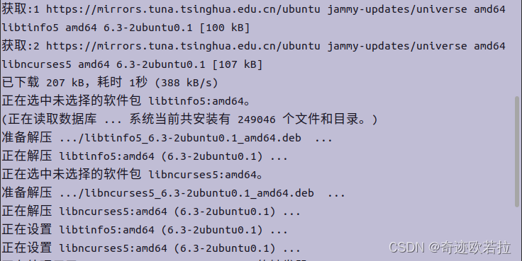 超快解决idl安装后启动报错问题：idl: error while loading shared libraries: libtinfo.so.5-CSDN博客