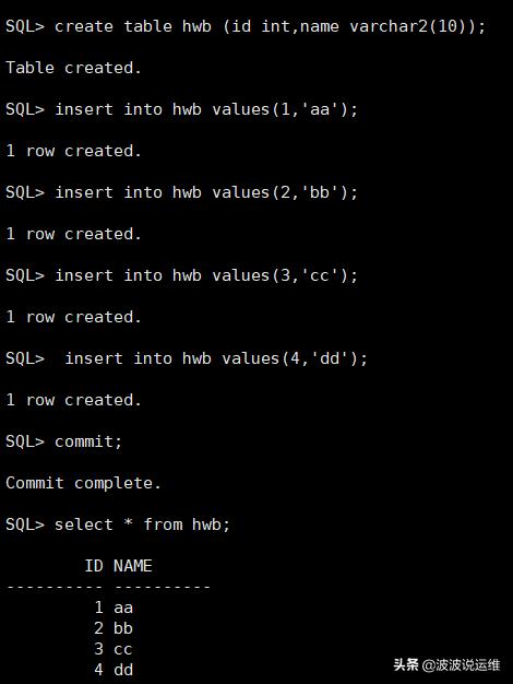 oracle select 变量_详解oracle数据库优化参数--cursor_sharing-CSDN博客