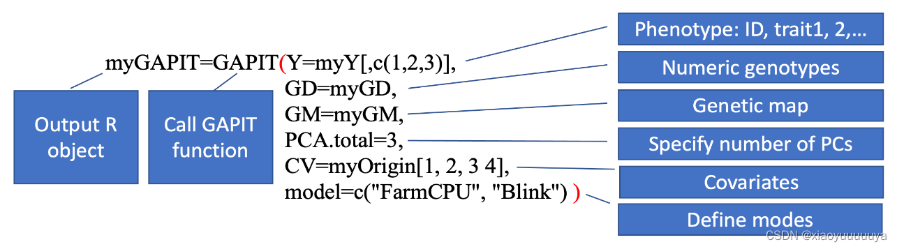 用GAPIT进行GWAS过程及出现问题_gapit进行gwas分析-CSDN博客