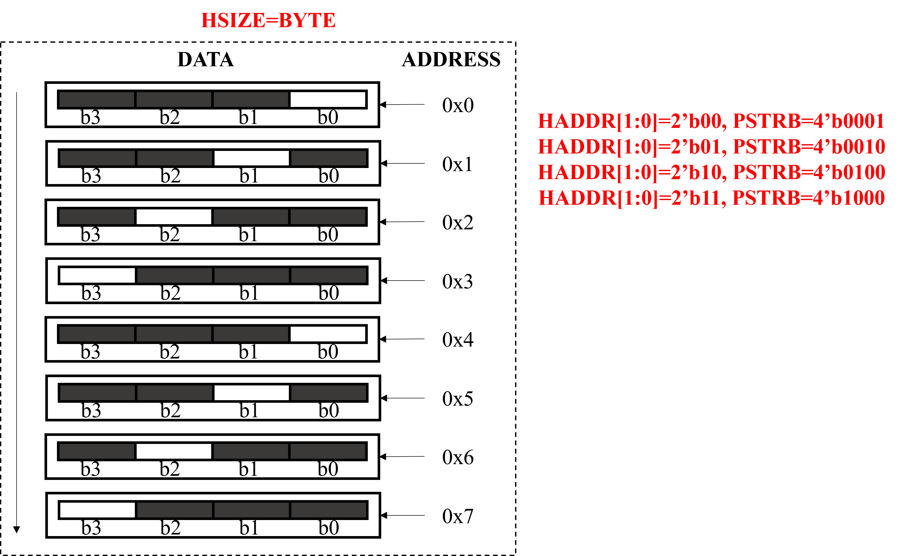 AHB2APB验证之pstrb与haddr、hsize之间关系的理解-CSDN博客