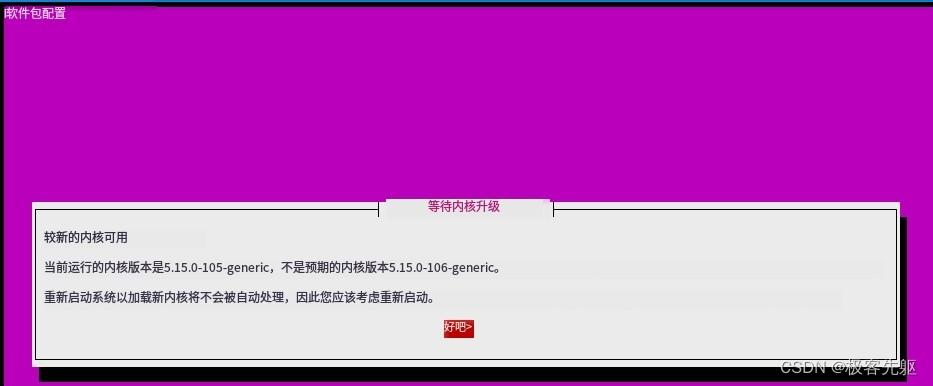 使用 sudo apt upgrade 出现的提示_pending kernel upgrade-CSDN博客
