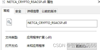 netca_crypto.dll找不到怎么修复？详细解决办法和注意事项_netcacrypto.dll-CSDN博客