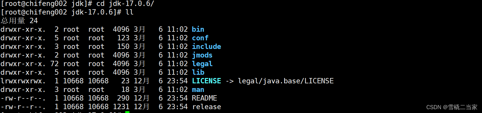01 Linux下安装jdk（CentOS7）-- 待修改_centos7安装jdk17-CSDN博客