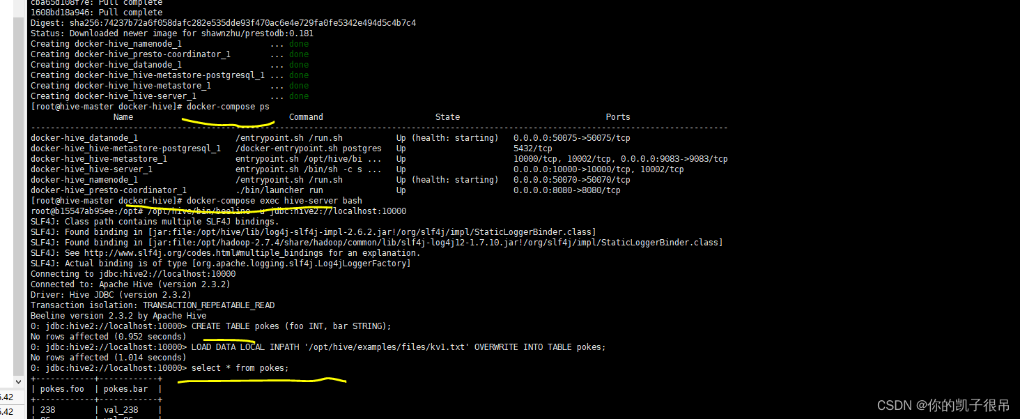 使用docker快速搭建hive环境_docker 安装hive-CSDN博客