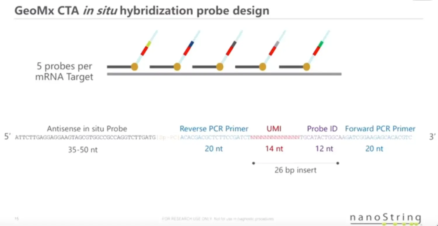 空间转录组检测靶点定量技术----Digital Spatial Profiler（DSP）_dsp空间转录组-CSDN博客