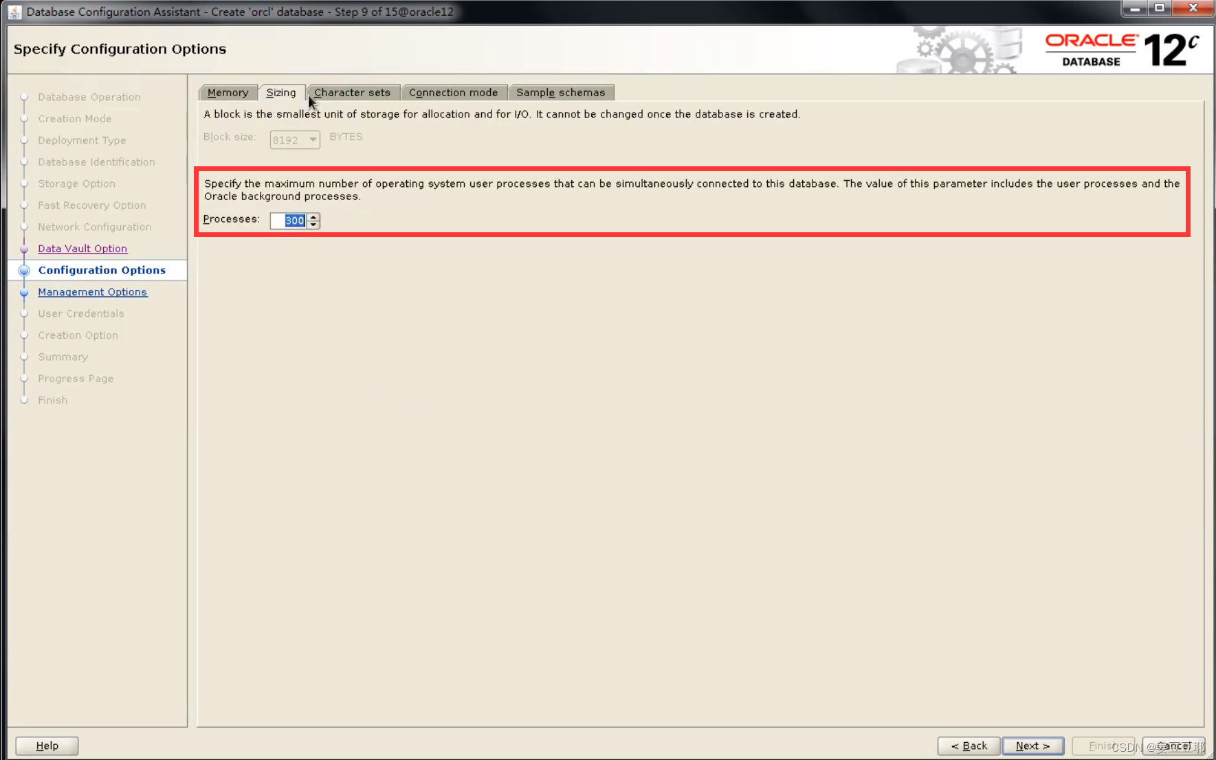 Oracle体系结构：聊聊session与process_oracle process-CSDN博客