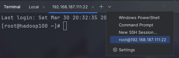 IDEA2023连接服务器docker并部署ruoyi-cloud-plus项目_ruoyi-cloud-plus 部署-CSDN博客