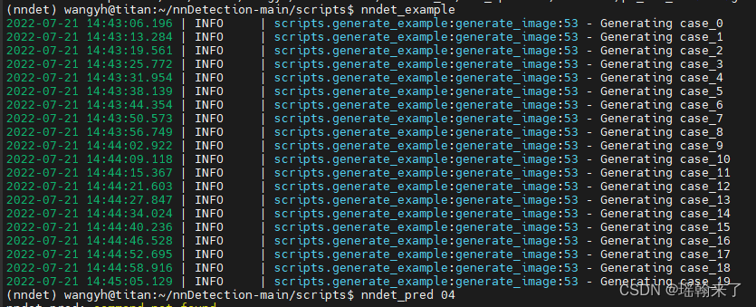 nnDetection安装到使用，包括环境搭建，数据预处理和训练（没有使用docker）-CSDN博客