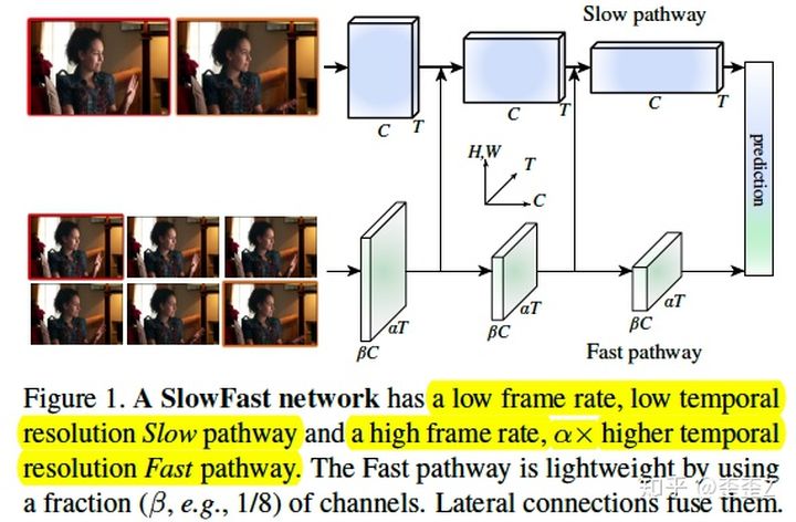 SlowFast 论文关键点解读_slow fast论文解读-CSDN博客