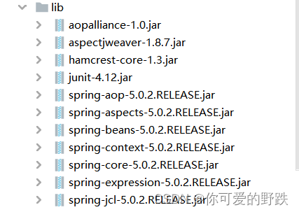 Spring AOP入门_proxy和切入点-CSDN博客