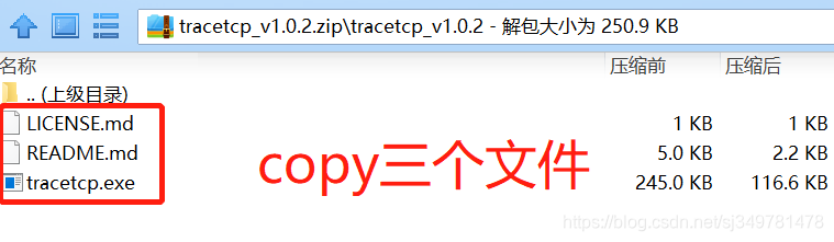Tracetcp/Tcptrace的使用-CSDN博客