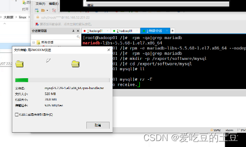 Linux知识【安装mysql】_cat mysqld.log !grep password-CSDN博客