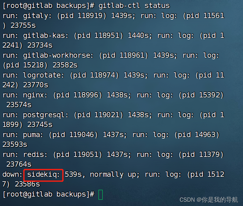 Gitlab调优-备份及恢复_gitlab备份恢复-CSDN博客