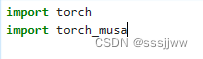 torch_musa的使用_torch musa-CSDN博客