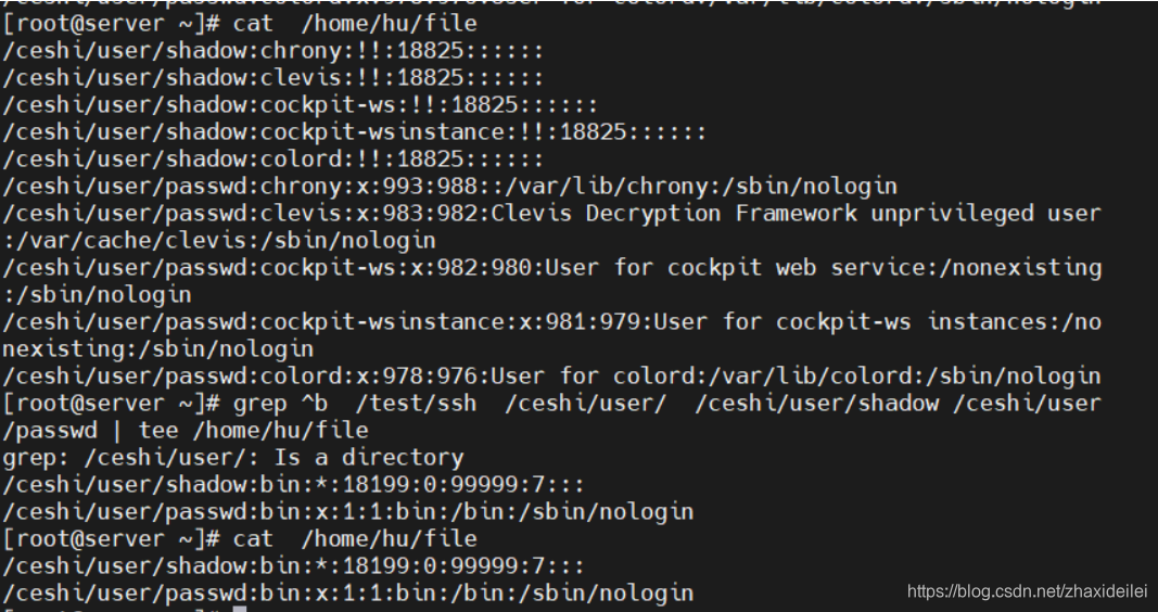 Linux系统操作实践：文件管理与压缩-CSDN博客