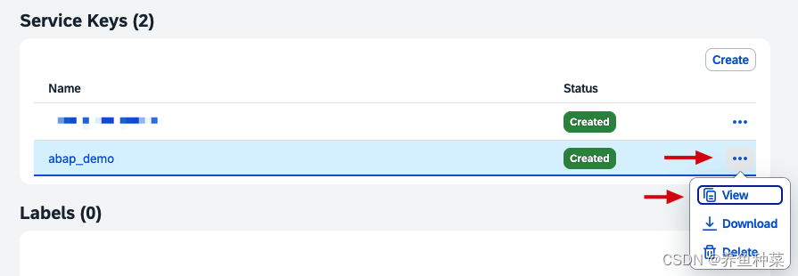 BTP上的ABAP开发（1）环境搭建_abap btp-CSDN博客