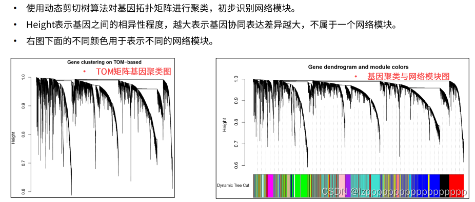 基于GEO的WGCNA-CSDN博客